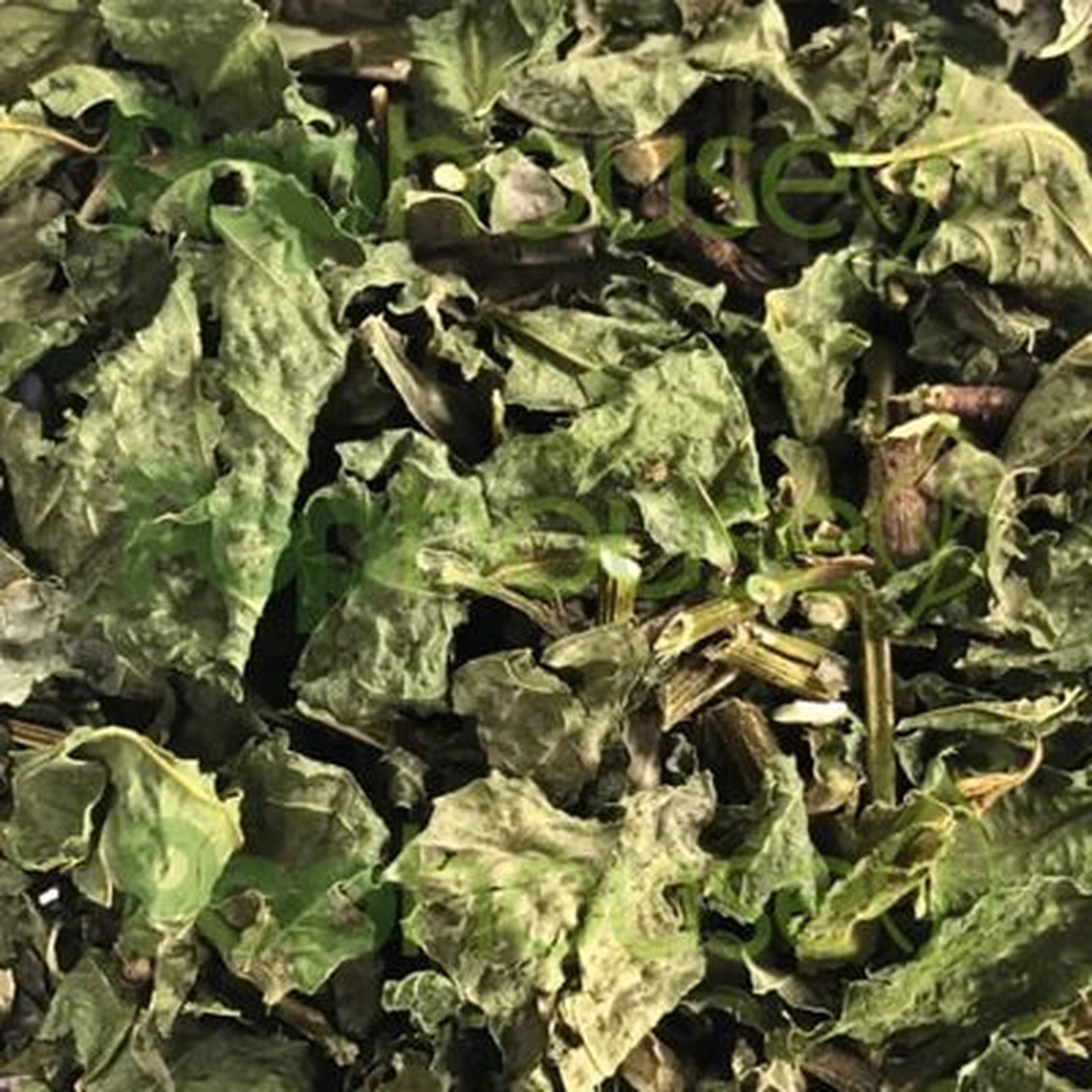 Pop House - Guiné - Pop House