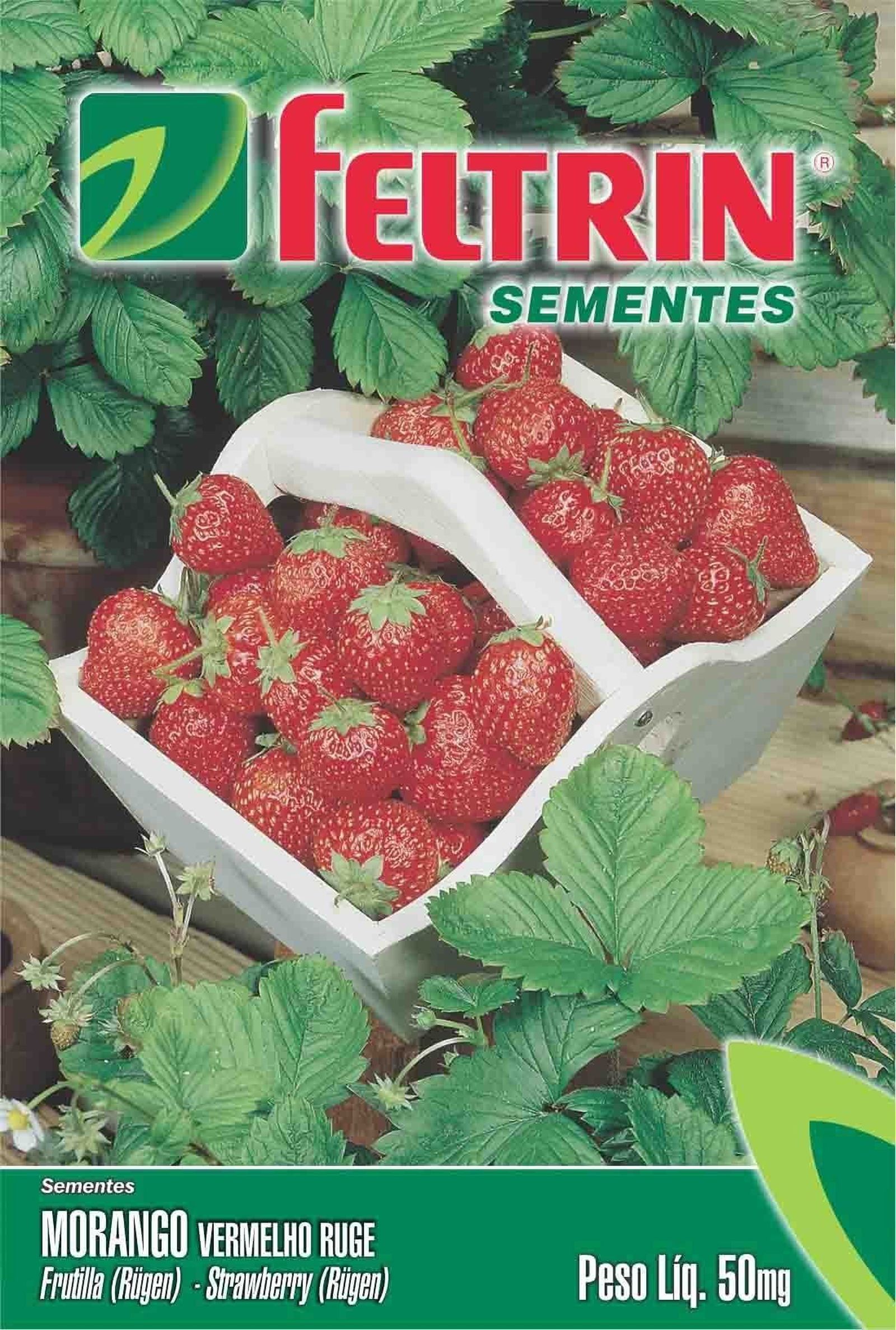 Sementes Feltrin Flores Morango Vermelho Ruge Unidade | Super Koch