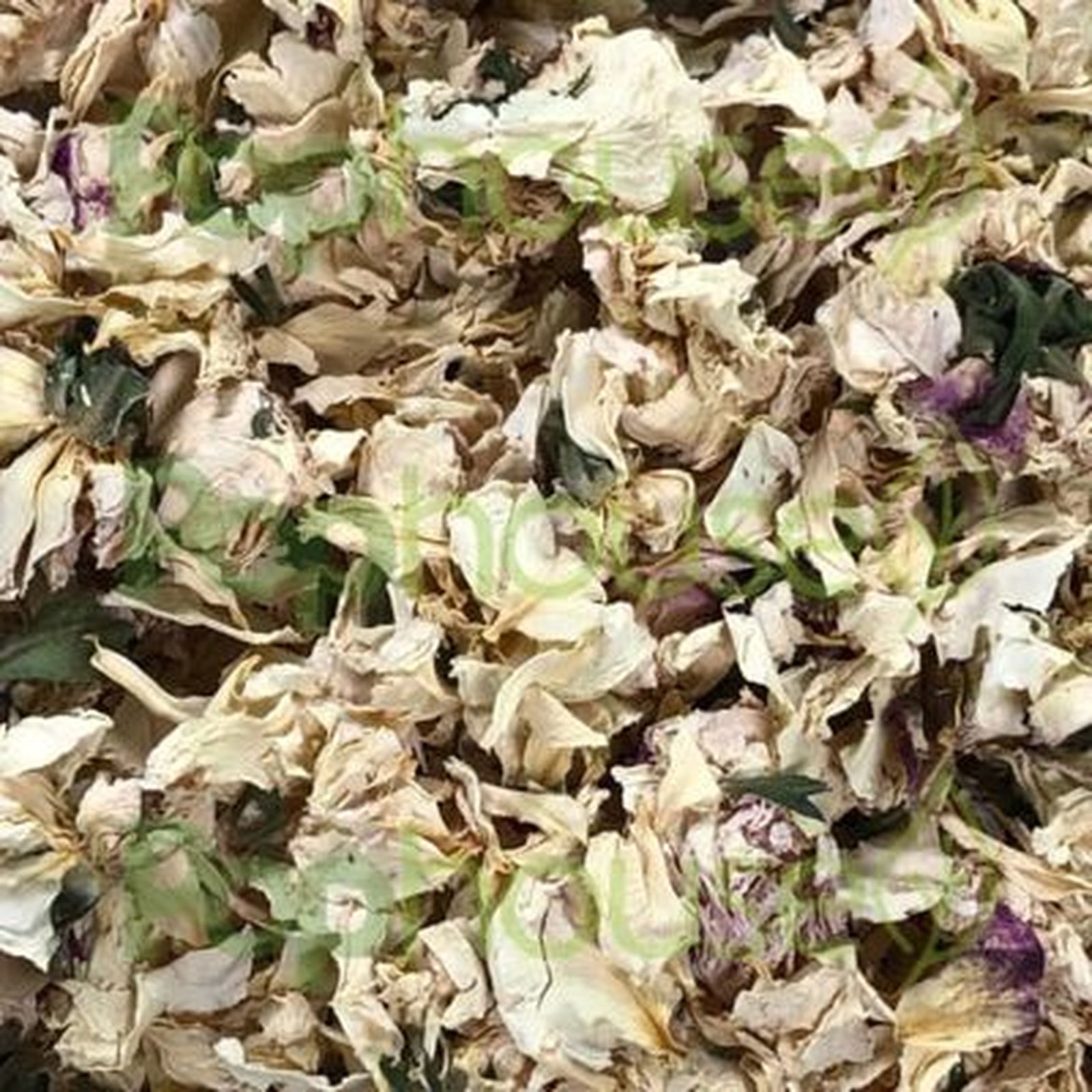 Pop House - Rosas Brancas Kg - Pop House